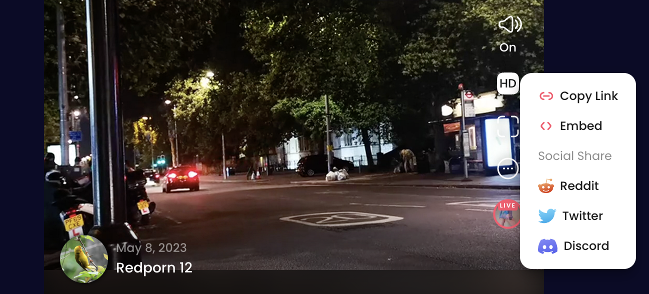 Sharing Content on Discord – RedGIFs